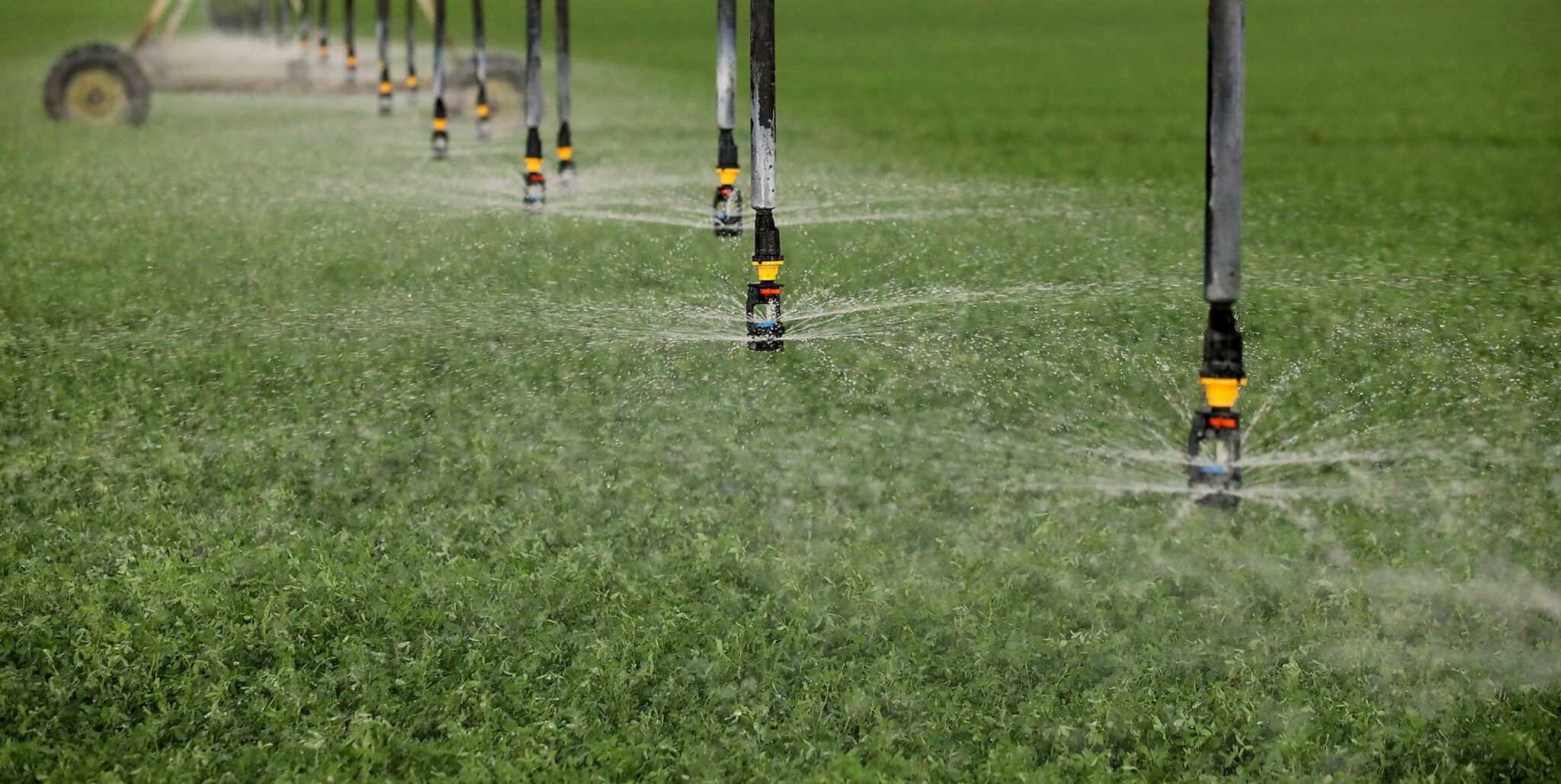 Spray Irrigation - Komet Precision Sprinkler